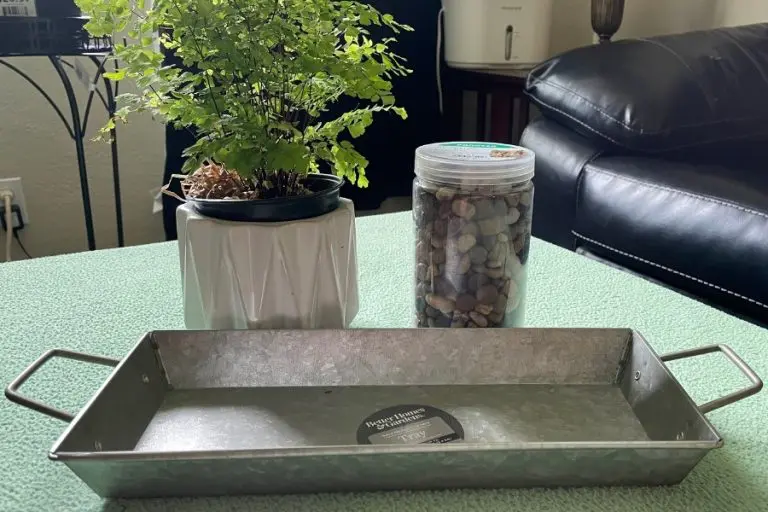 How to Make a Humidity Tray for Houseplants